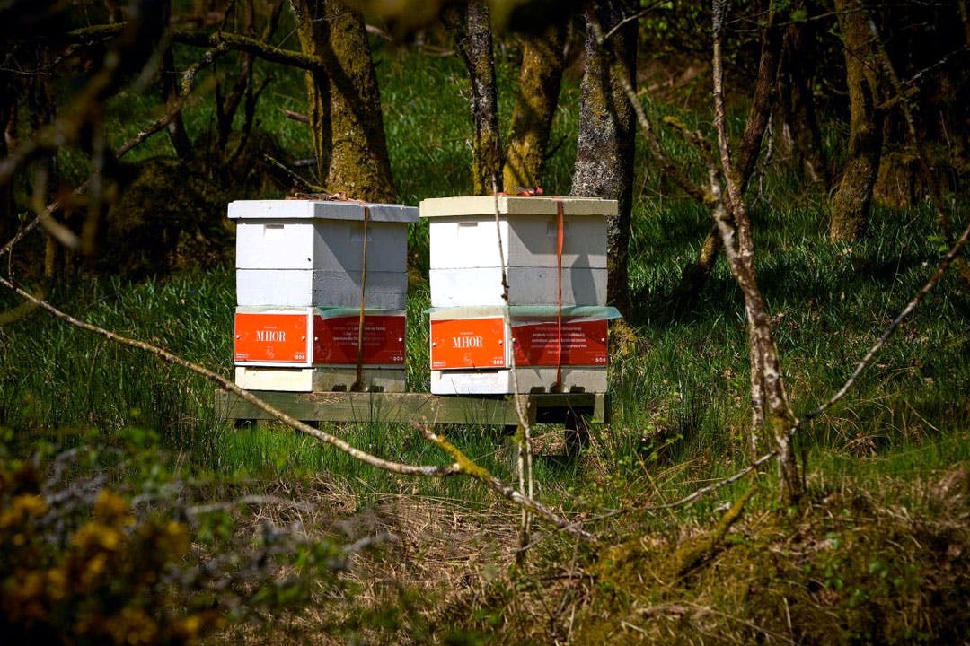 Monachyle MHOR – itison