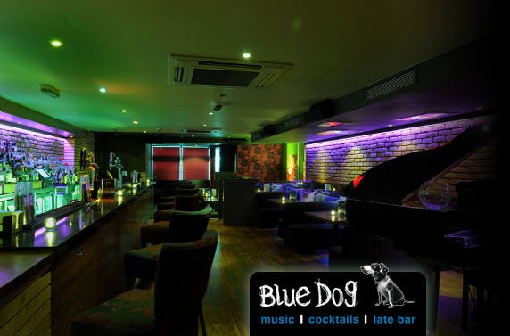 Blue Dog – itison